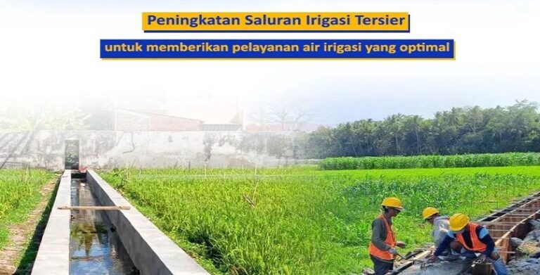 Peningkatan Saluran Irigasi Tersier, untuk Air Irigasi yang Optimal ...